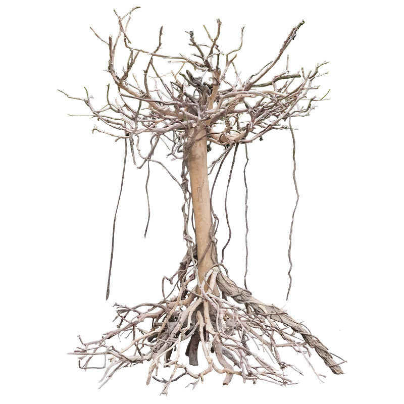 Lifelike Fiberglass Dry Tree Trunk Custom Props Retro Style Planting ...