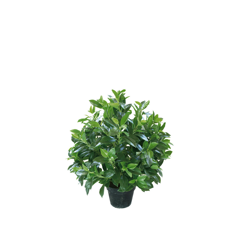 Potted Plant Evergreen Artificial Fortune Tree 30-60cm Natural Leaves ...
