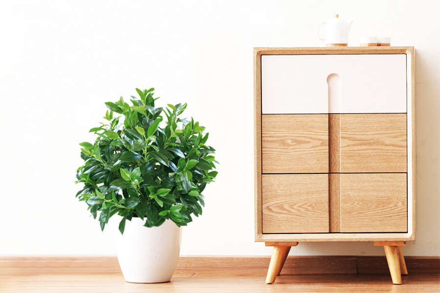 Potted Plant Evergreen Artificial Fortune Tree 30-60cm Natural Leaves ...