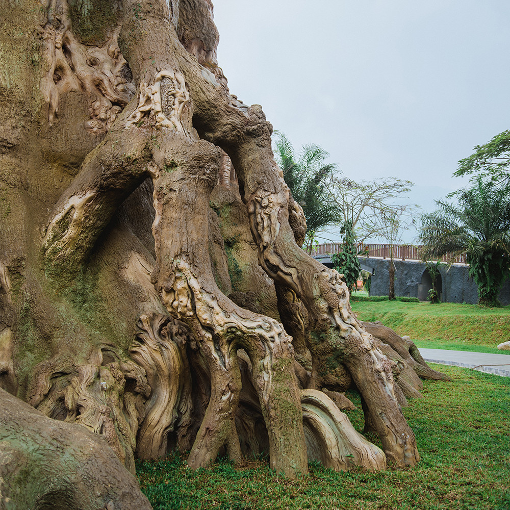 30m Tall Magic Treehouse for theme park – Artificial House Trees of ...